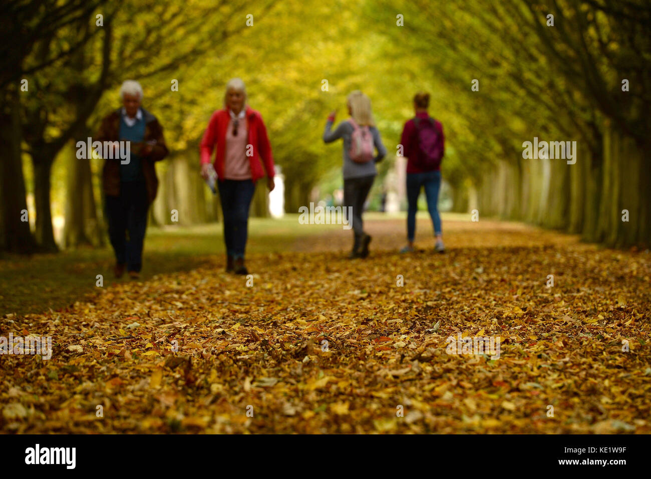People walk amongst fallen leaves at Anglesey Abbey near Cambridge ...