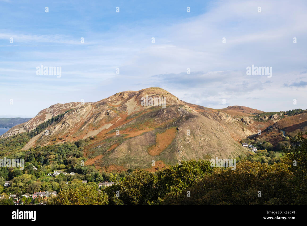 Foel lus conwy hi-res stock photography and images - Alamy