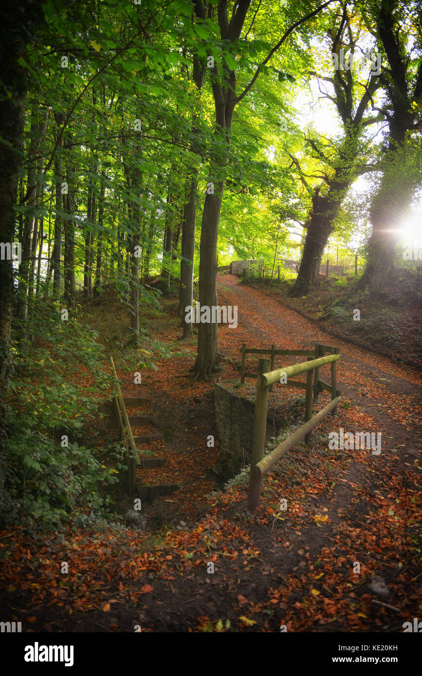 Steps to canal path hi-res stock photography and images - Alamy