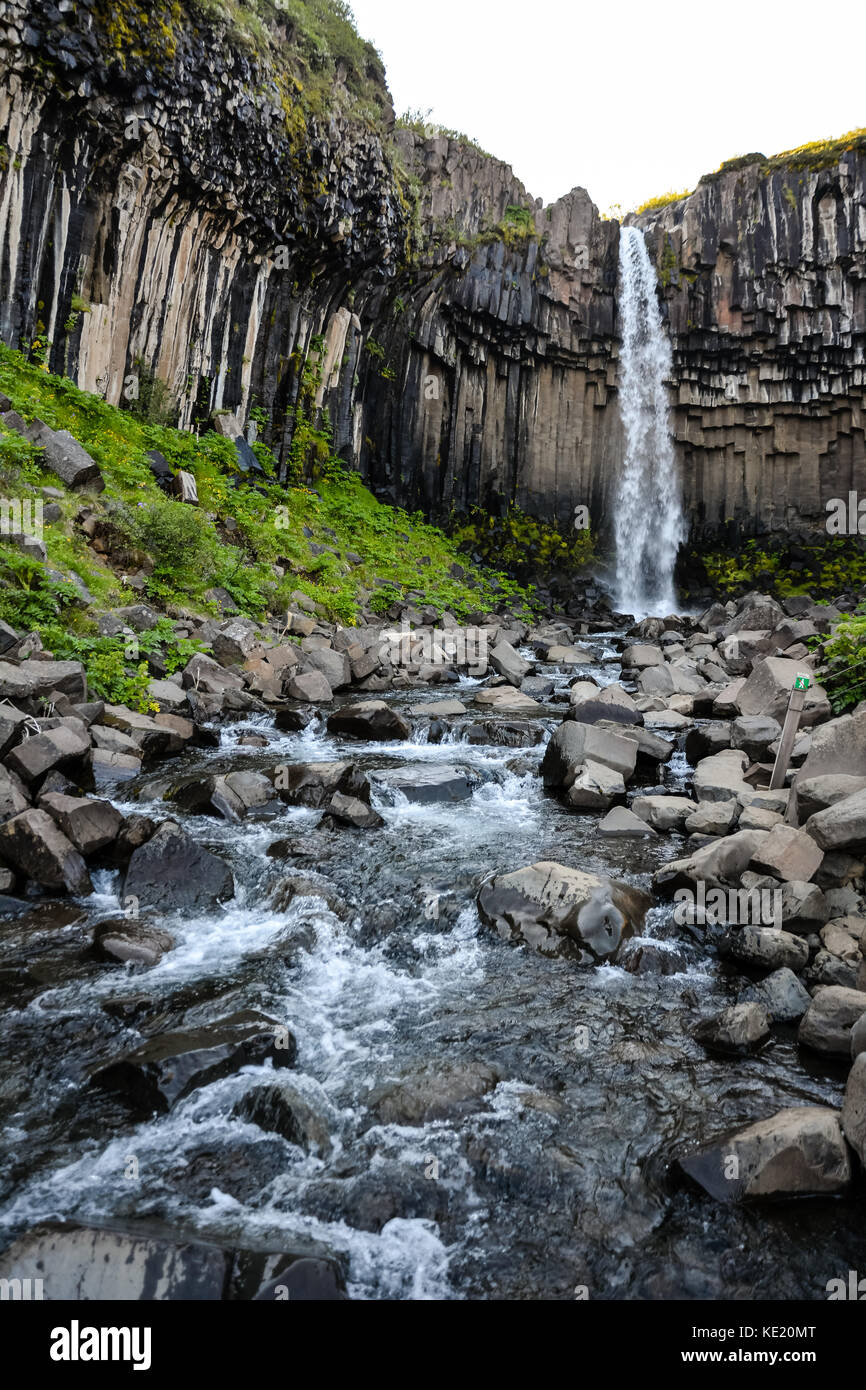 Svartifoss waterfall from above, with basalt columns, Iceland in summer ...