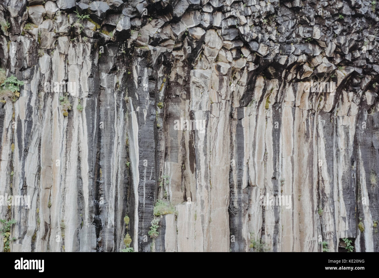 Close-up of basalt columns of Svartifoss waterfall, Iceland in summer ...
