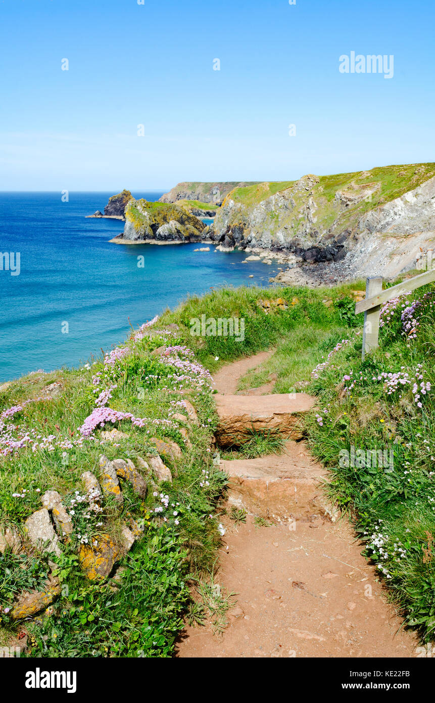 southwest coast path on the lizard peninsular in cornwall, england ...