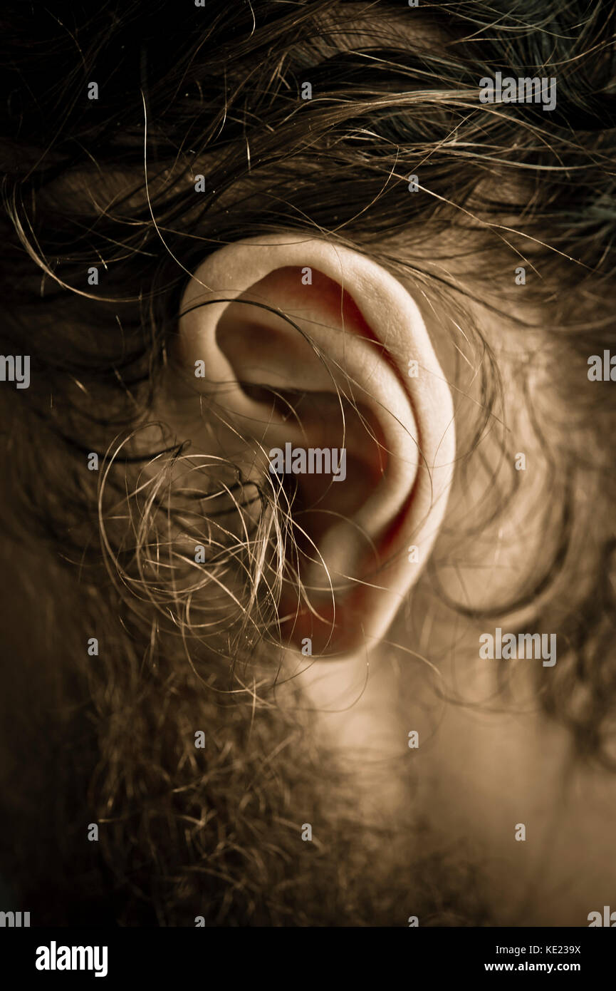 Curly hair ears hi-res stock photography and images - Alamy