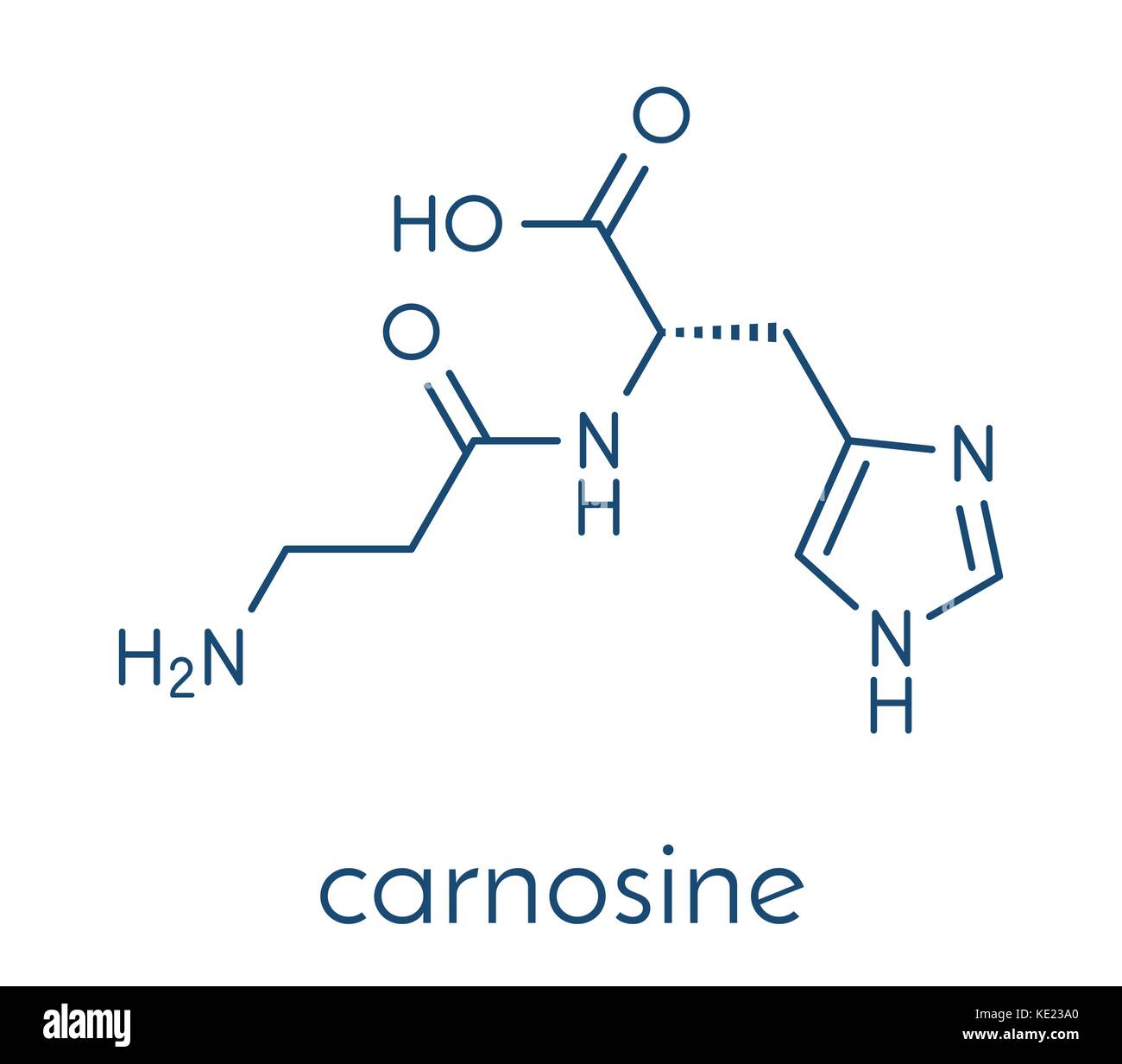 Carnosine molecule. Has antioxidant properties; commonly used in food ...