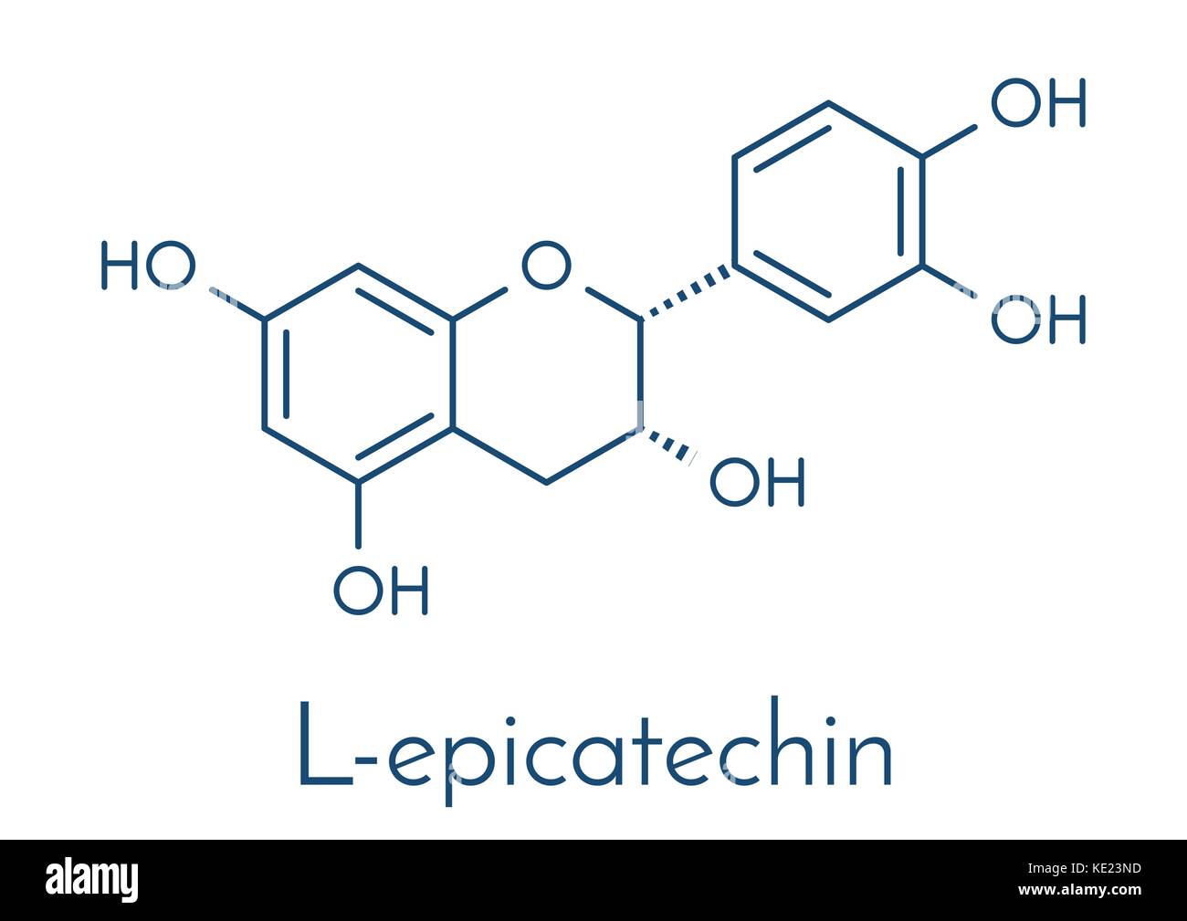 Epicatechin (L-epicatechin) chocolate flavonoid molecule. Skeletal ...