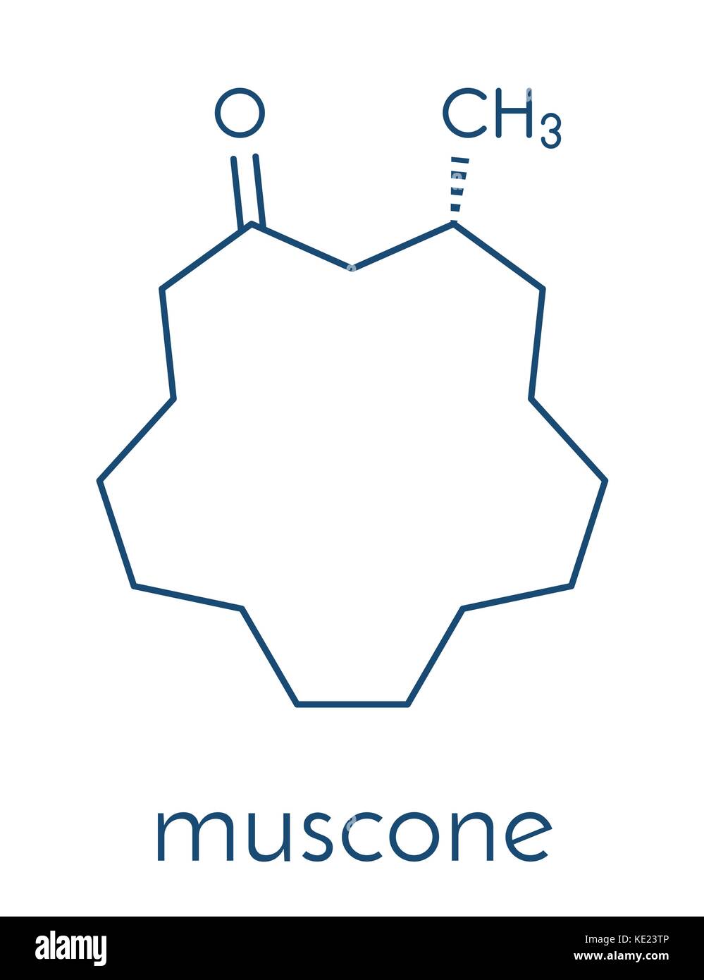 Muscone musk odor molecule. Skeletal formula Stock Vector Image & Art ...