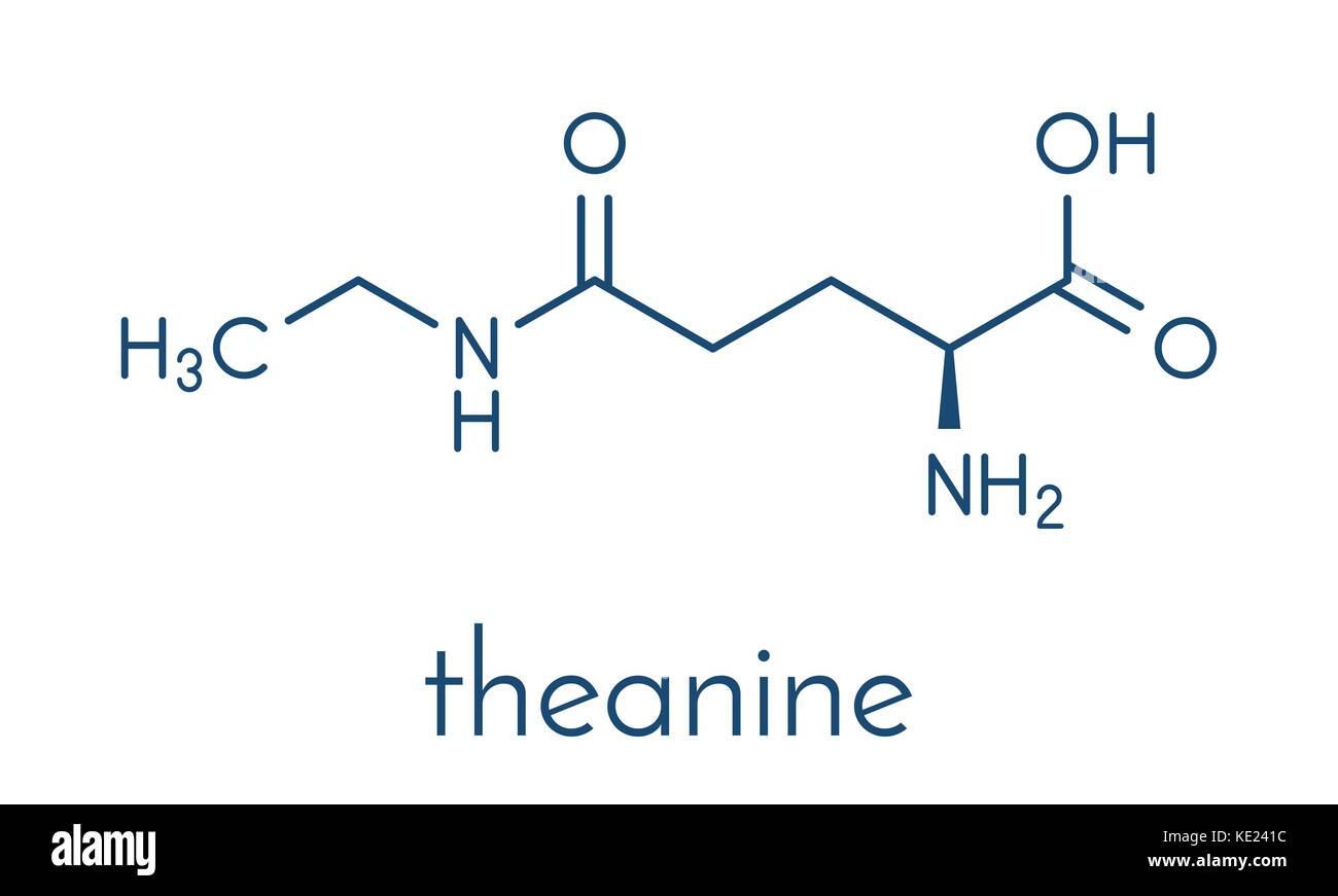Theanine herbal molecule. Constituent of tea prepared from Camellia sinensis. Also taken as ...