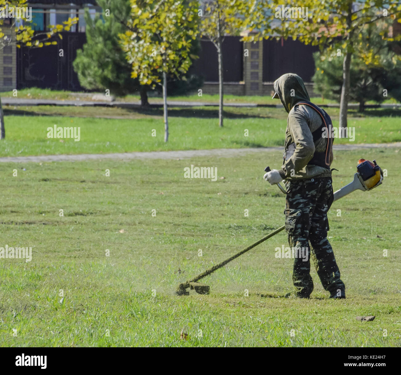 Worker mowing the lawn. Mowing grass trimmer Stock Photo - Alamy