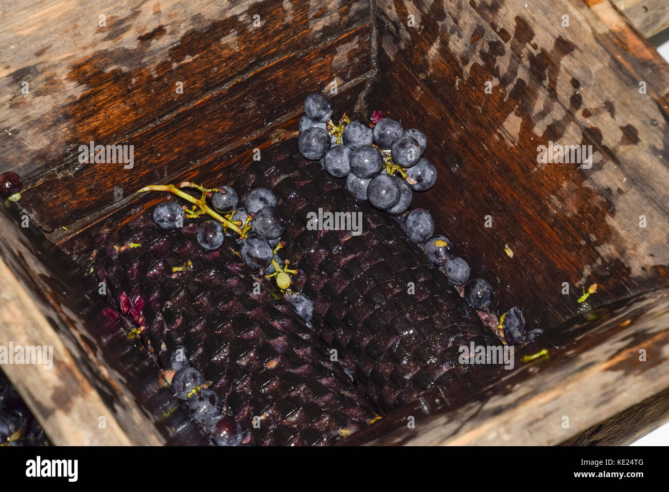 Manual mechanism for crushing grapes. Crush the grapes into juice and ...