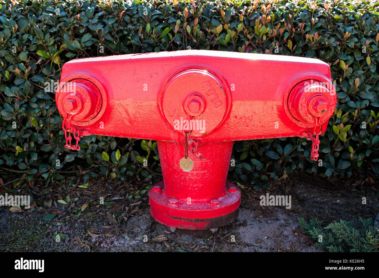 A red fire hydrant, an unusual shape Stock Photo - Alamy