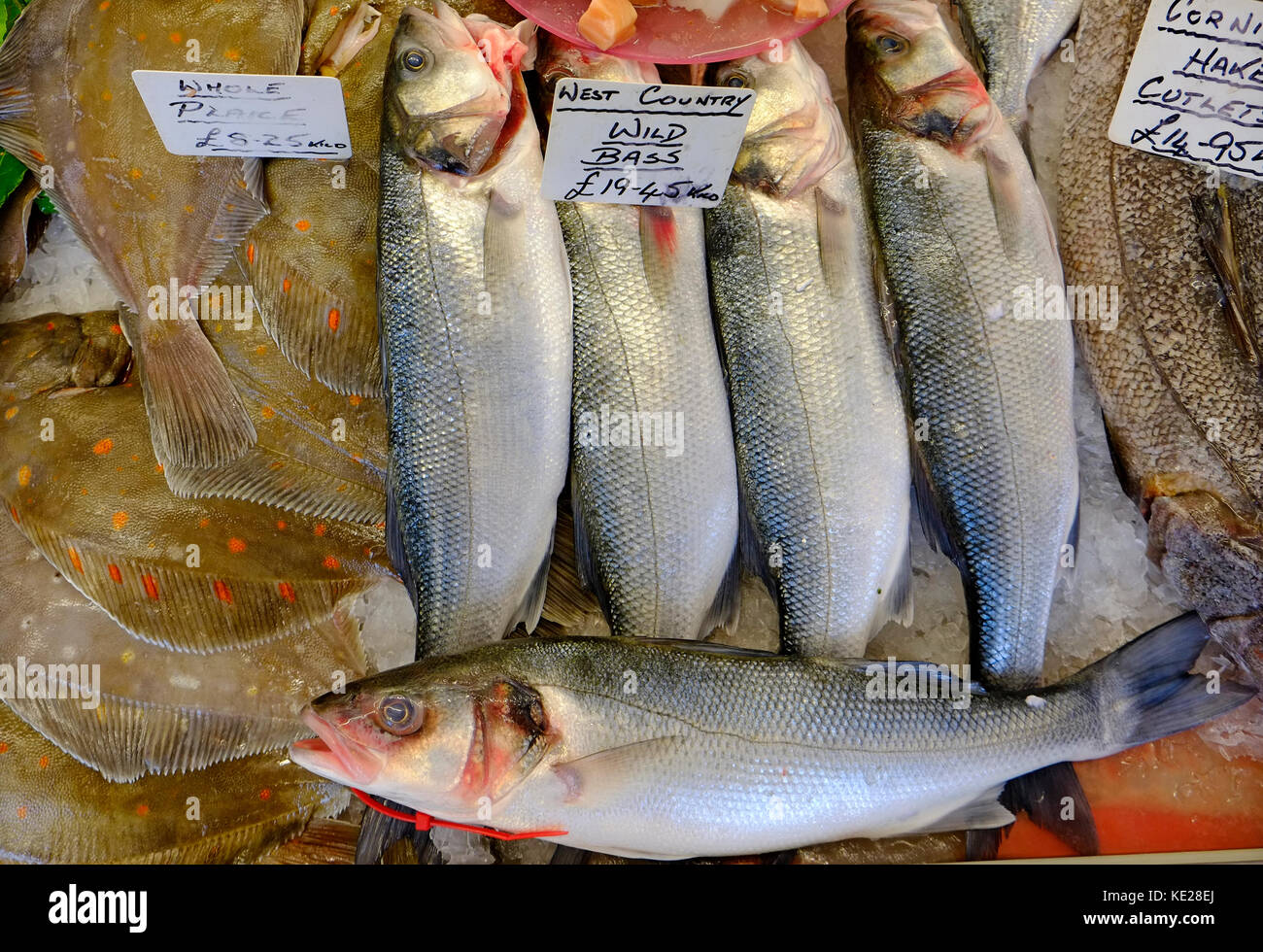 wet fish display on fishmongers counter, dorset, england Stock Photo ...