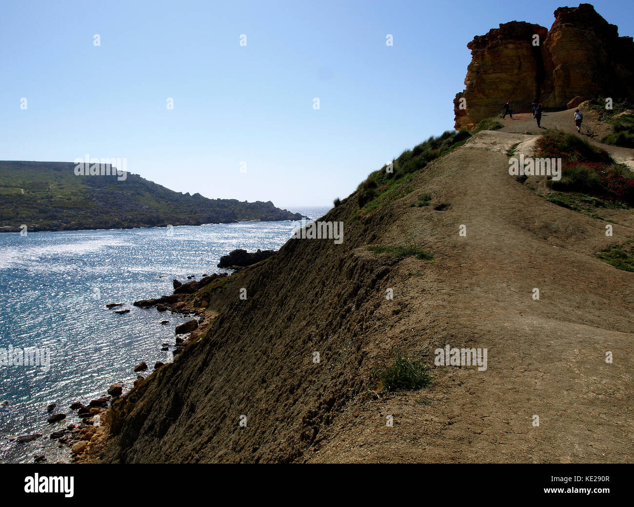 Unique and endemic flora growing on clay dunes in Malta Stock Photo - Alamy
