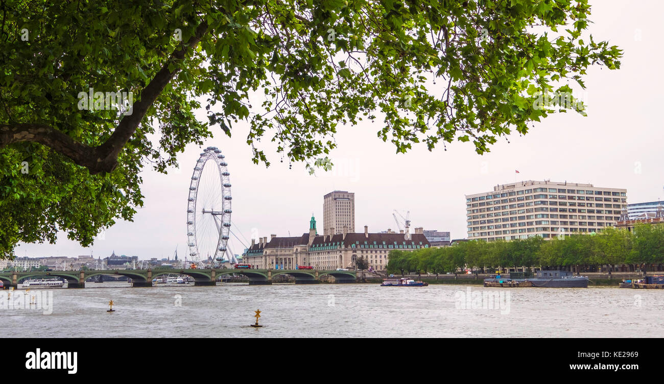 A panoramic view of the London Eye and buildings across the River ...