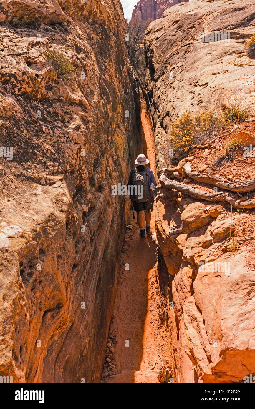 Hiking in a Narrow Canyon Trail in Canyonlands National Park in Utah ...