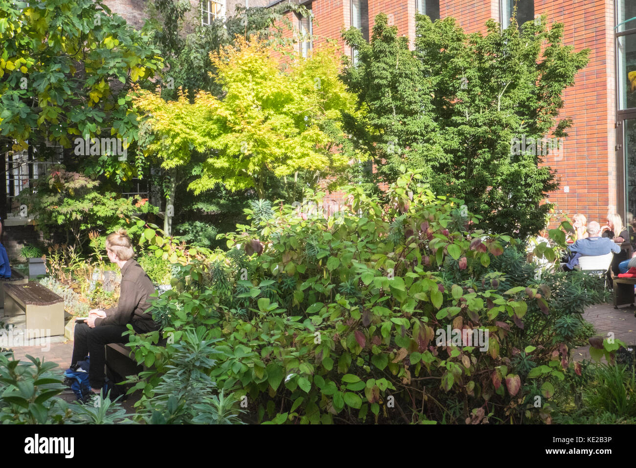 Bluecoat Art Gallery High Resolution Stock Photography and Images - Alamy
