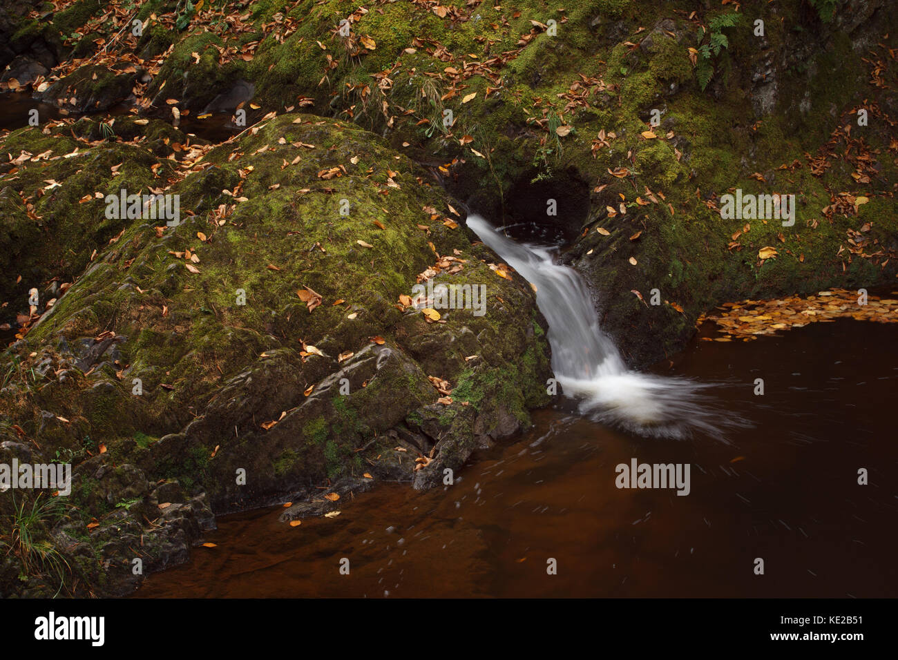 Small waterfall flowing into stream pool Stock Photo - Alamy