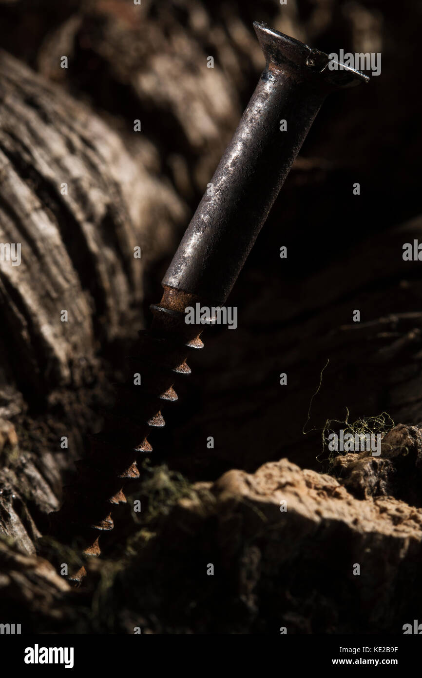 Stomp of wood hi-res stock photography and images - Alamy
