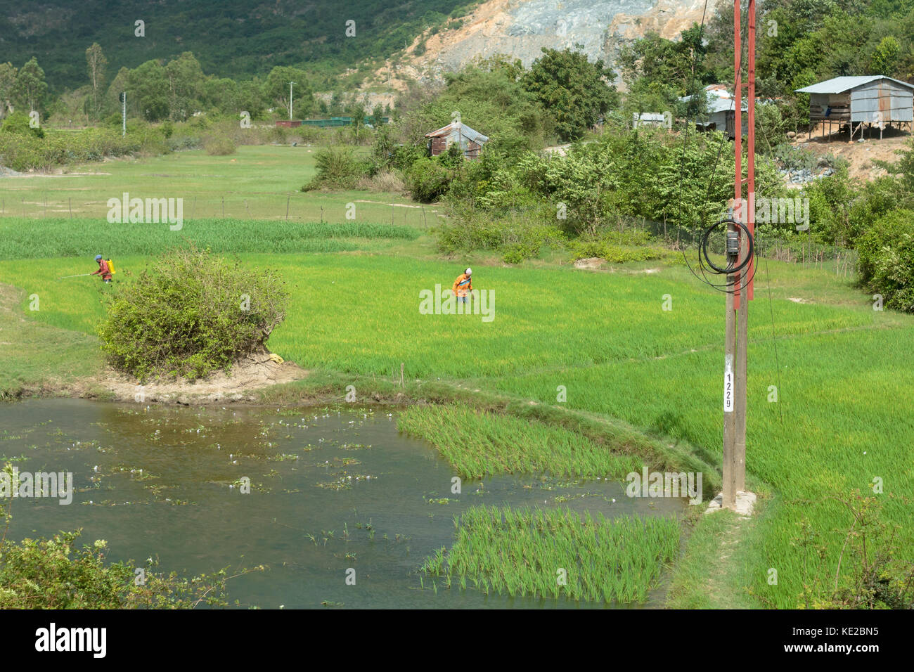 Taking care of the land hi-res stock photography and images - Alamy