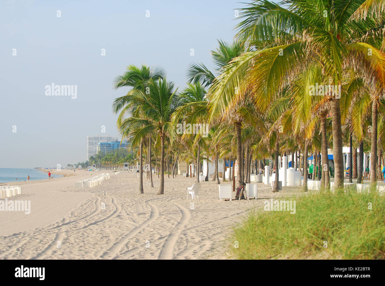 Early morning view of Fort Lauderdale Beach, Florida Stock Photo - Alamy