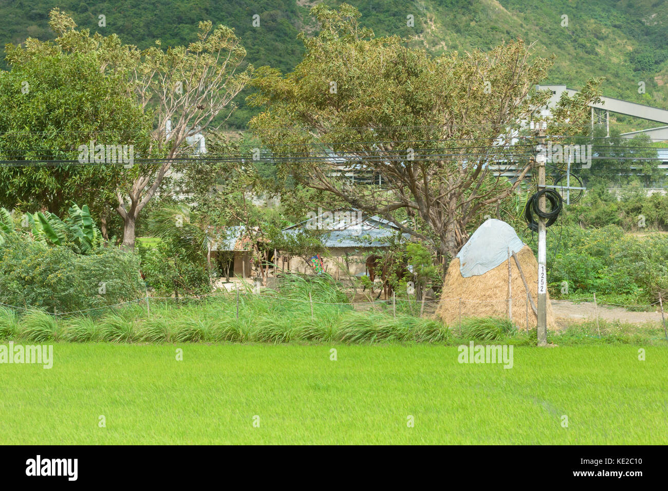 Livelihood hi-res stock photography and images - Alamy