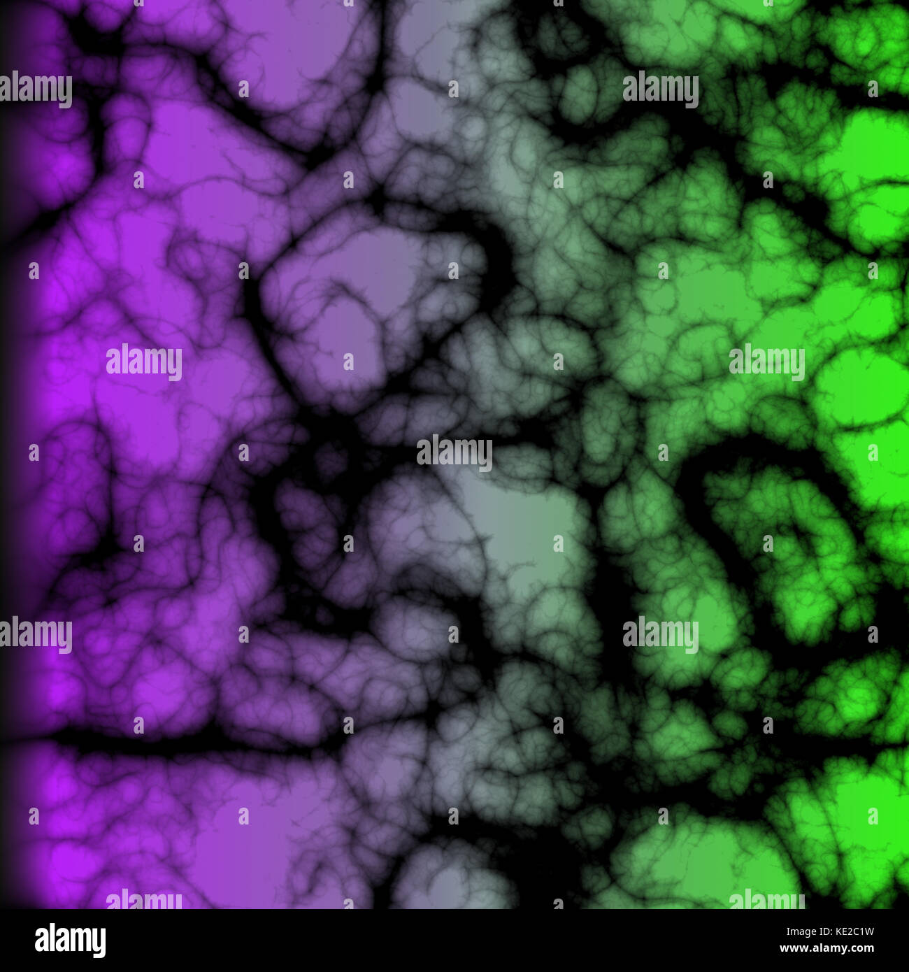 Brain Neurons High Resolution Stock Photography and Images - Alamy