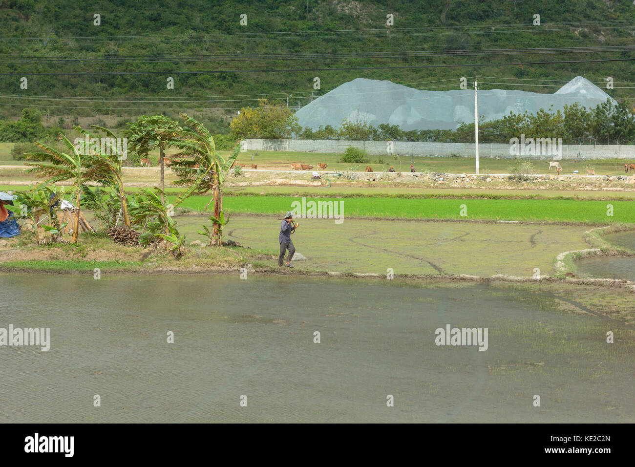 Livelihood hi-res stock photography and images - Alamy