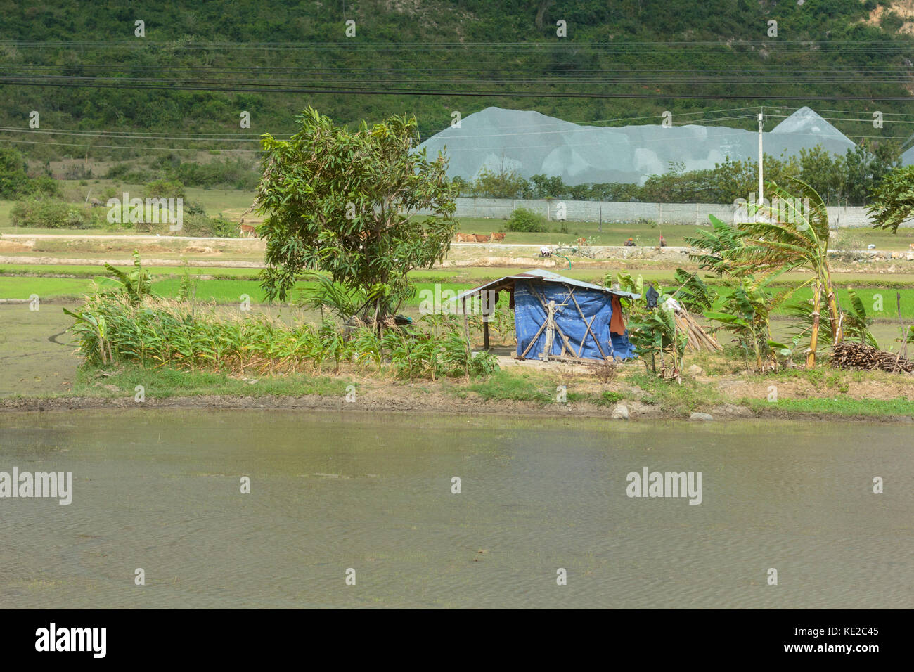 Livelihood hi-res stock photography and images - Alamy