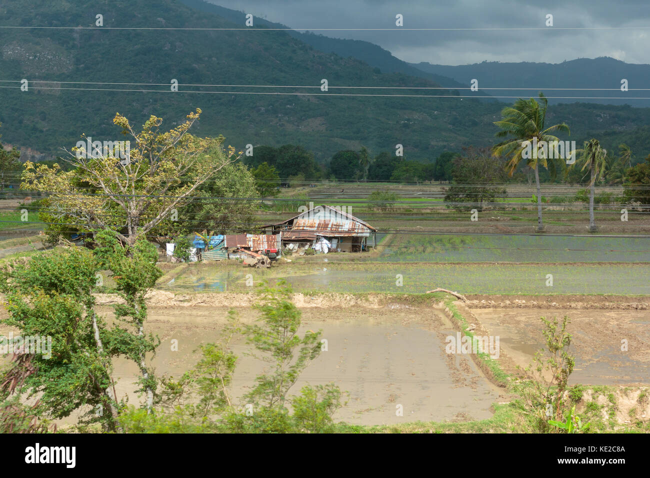 Livelihood hi-res stock photography and images - Alamy