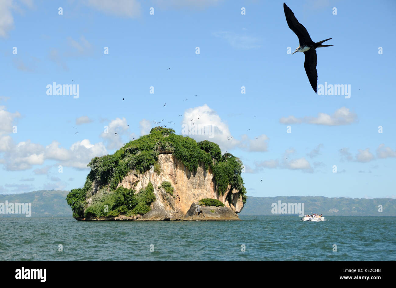 Birds and bird watchers on a remote Caribbean island Stock Photo - Alamy
