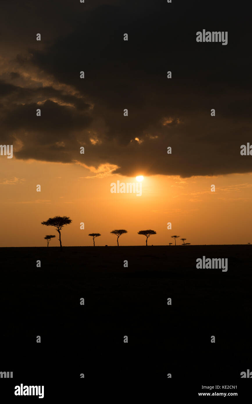 Kenyan sundowner hi-res stock photography and images - Alamy