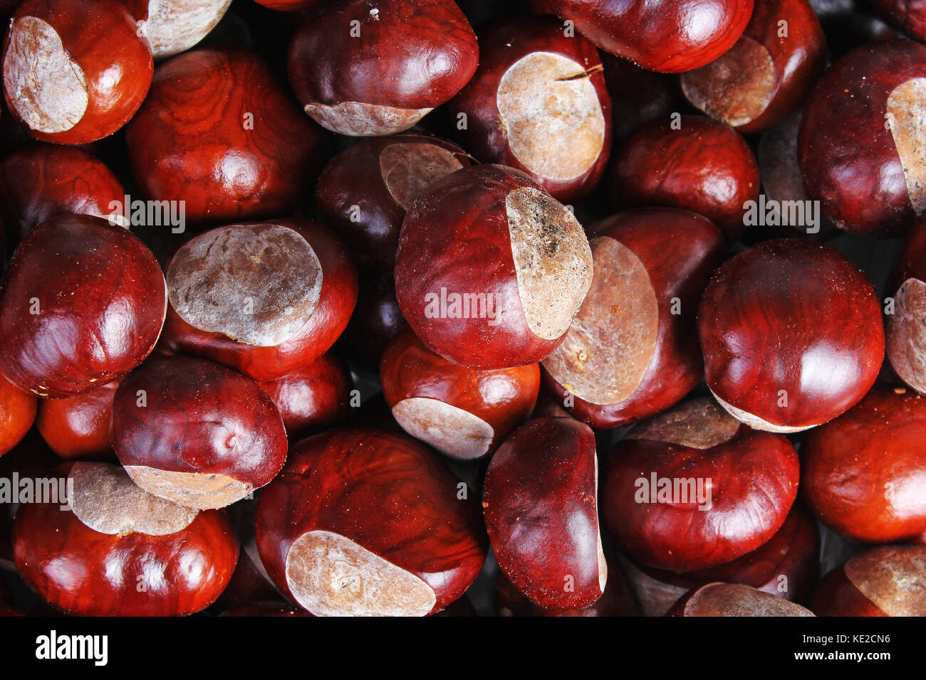 Chestnut pattern texture background Stock Photo - Alamy