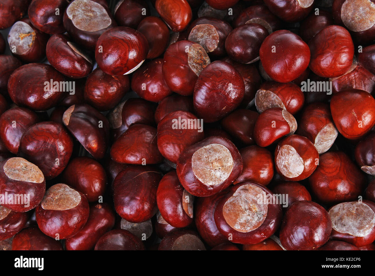 Chestnut pattern texture background Stock Photo - Alamy