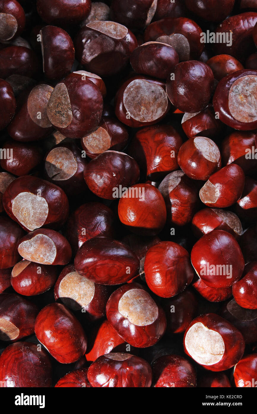 Chestnut pattern texture background Stock Photo - Alamy