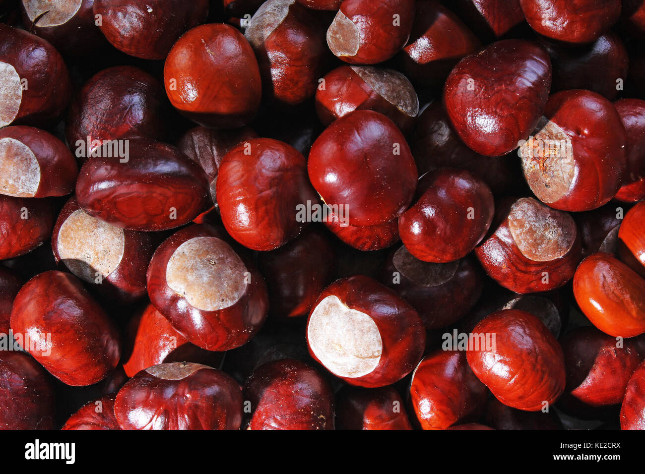 Chestnut pattern texture background Stock Photo - Alamy