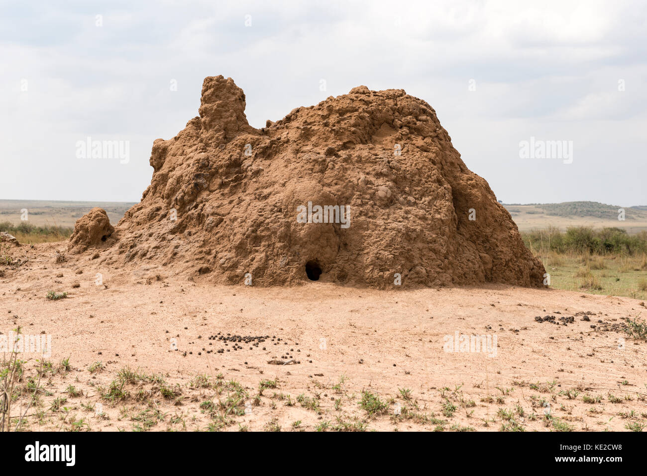 Termites mound hi-res stock photography and images - Alamy