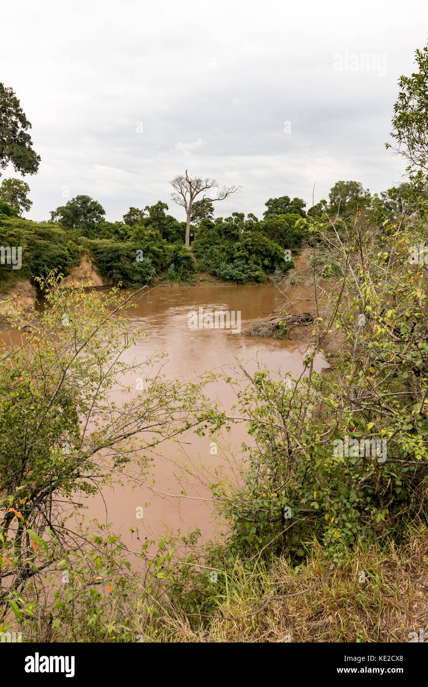 Mara river in the Masai Mara, Kenya Stock Photo - Alamy