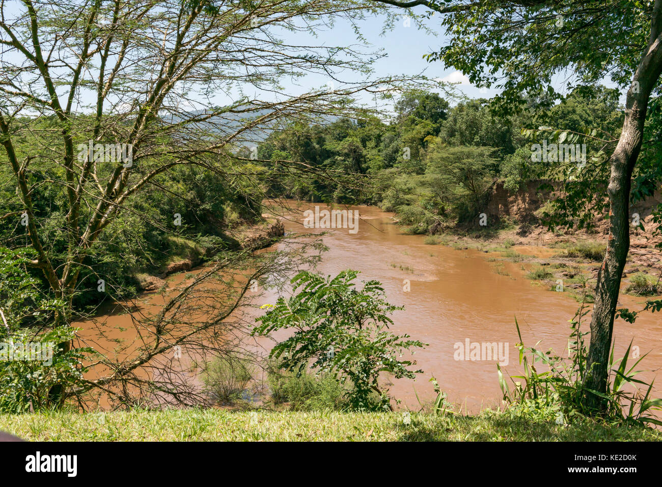 Mara river in the Masai Mara, Kenya Stock Photo - Alamy