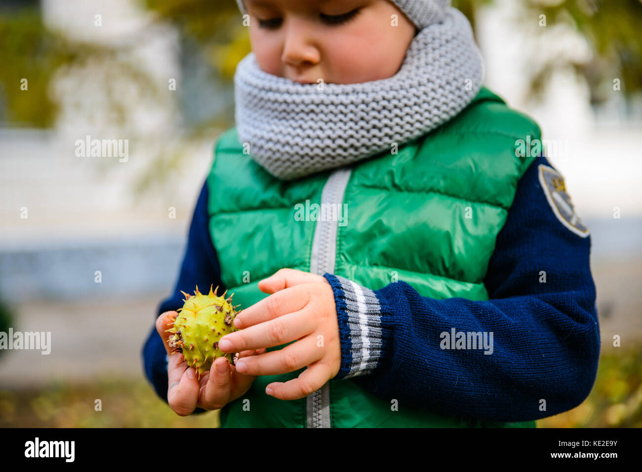 little boy play with chestnuts in autumn day outside Stock Photo - Alamy