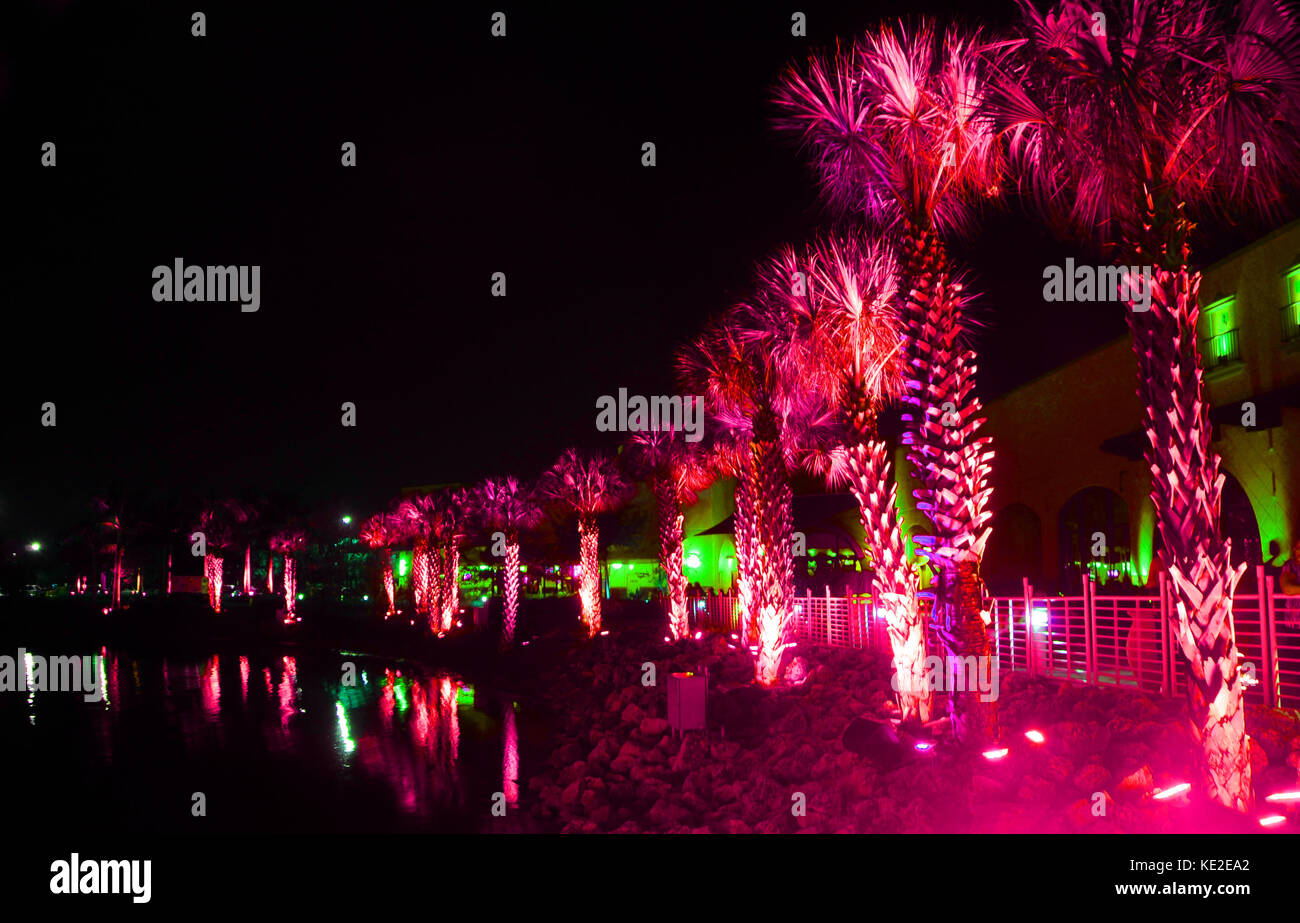 Palms under purple light in nighttime Florida Stock Photo - Alamy