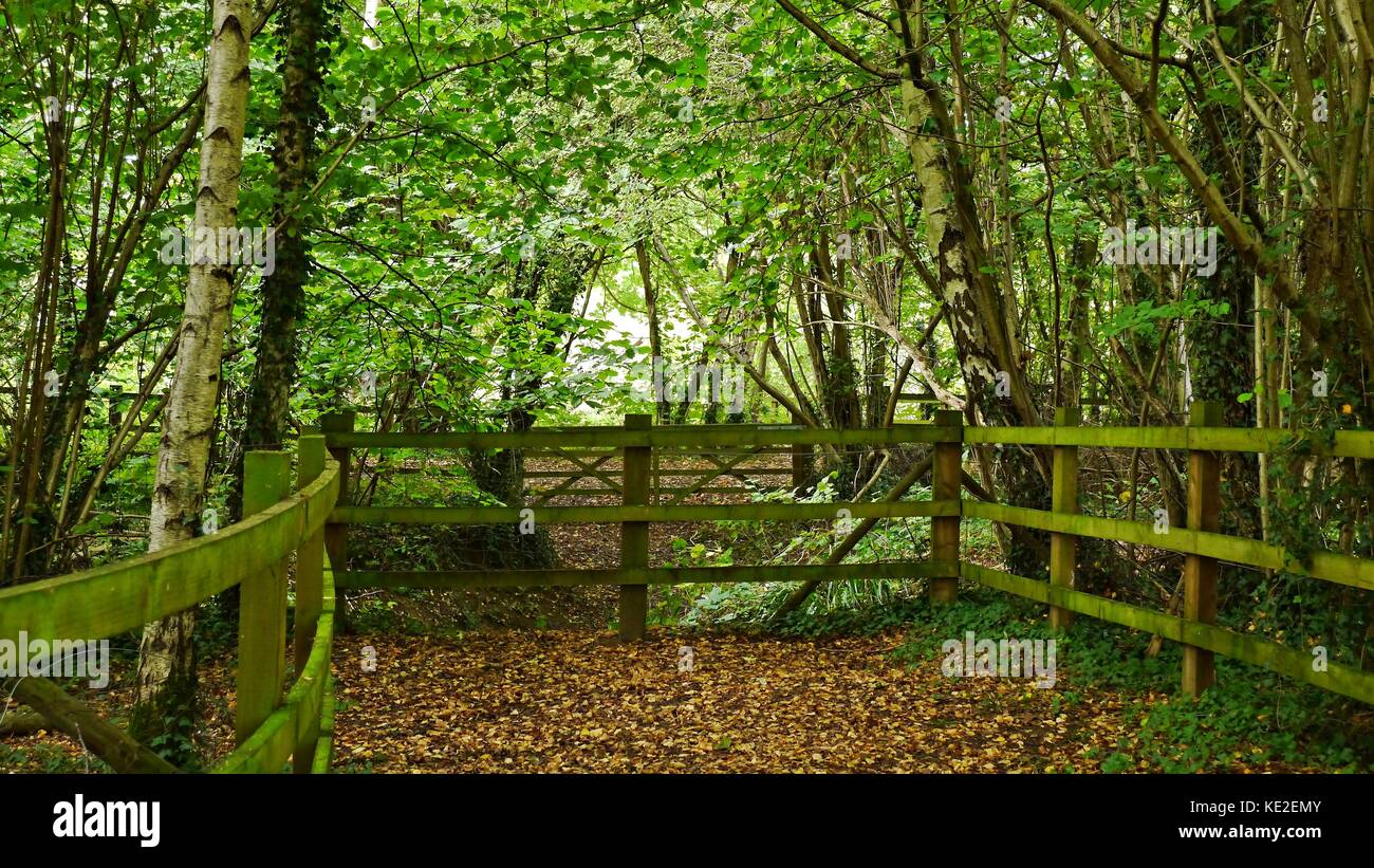 Penton hi-res stock photography and images - Alamy