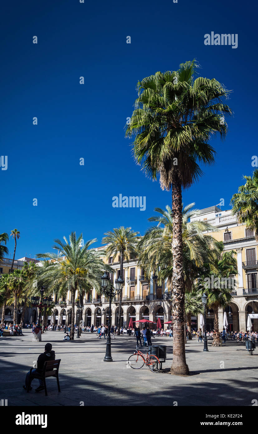 Real square hi-res stock photography and images - Alamy