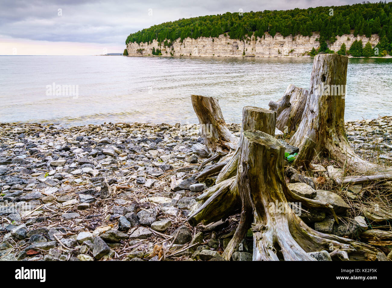 Tree stumps at the shore of Snail Shell Harbor in Upper Peninsula Stock ...