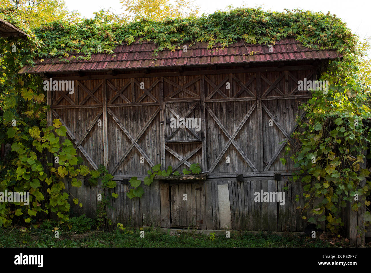 Romania abandoned wooden barn perspecive Stock Photo - Alamy