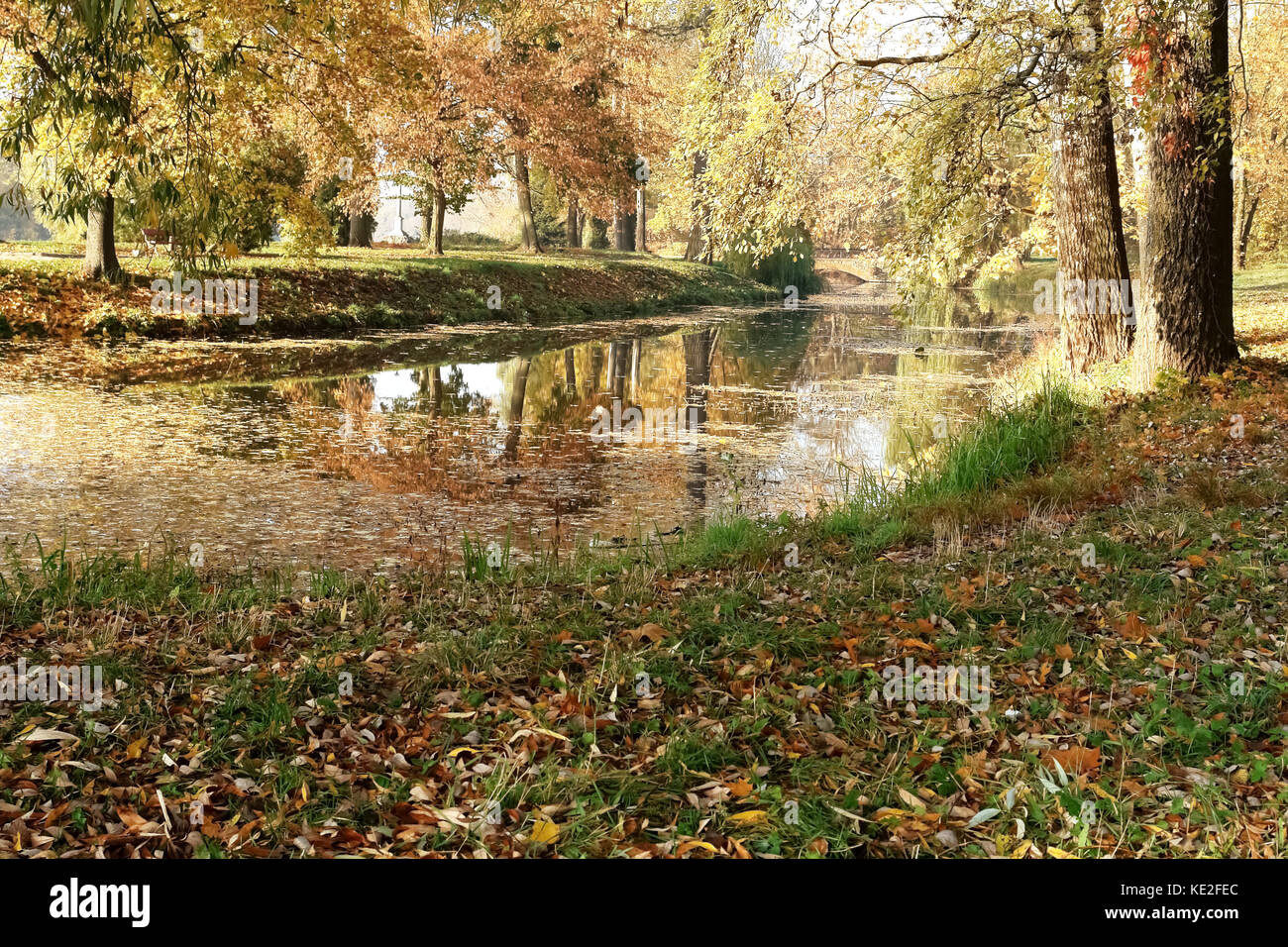Yellow trees and their reflection in a water canal in an autumn park ...