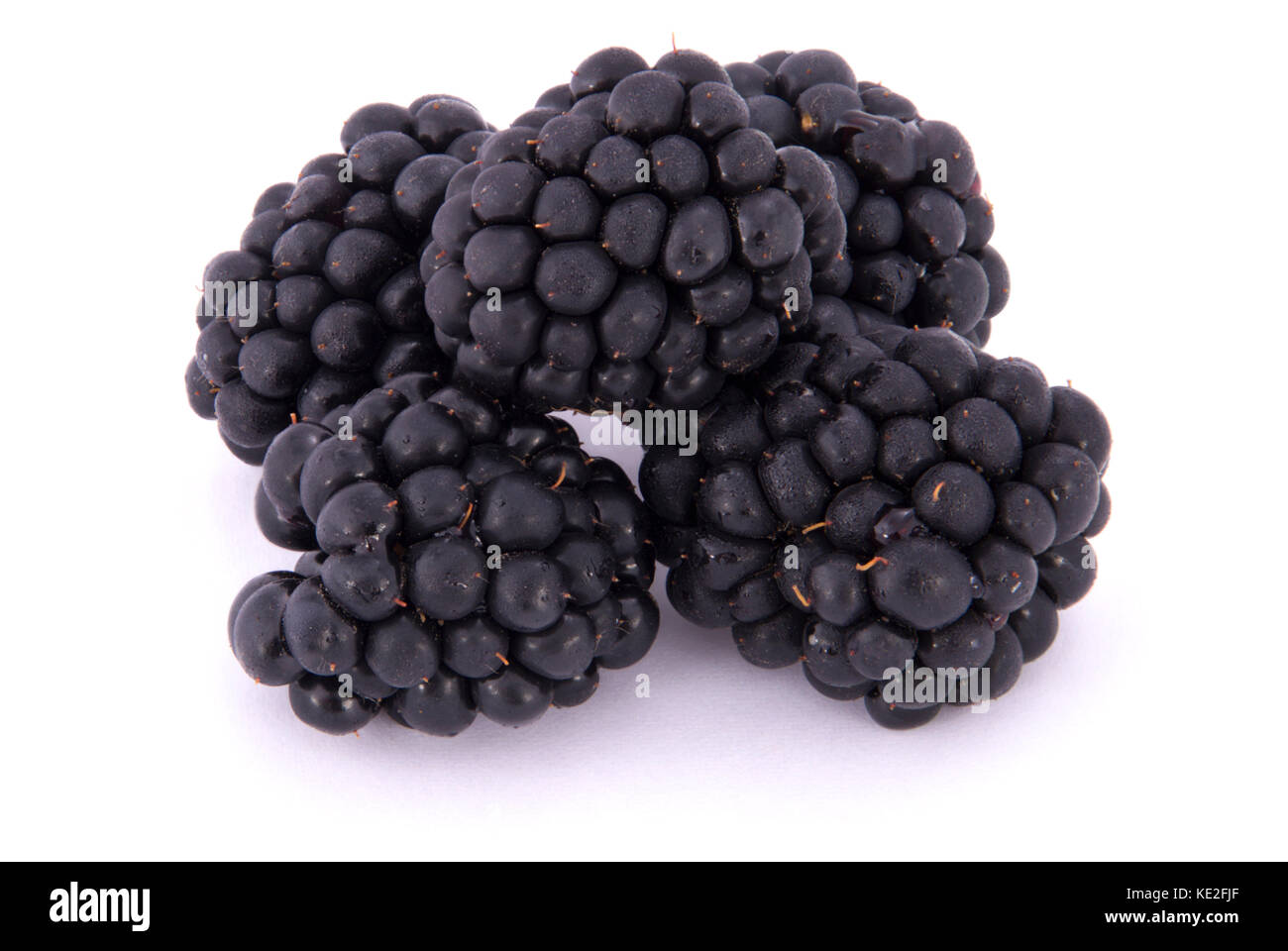 Blackberry macro isolate studio hi-res stock photography and images - Alamy
