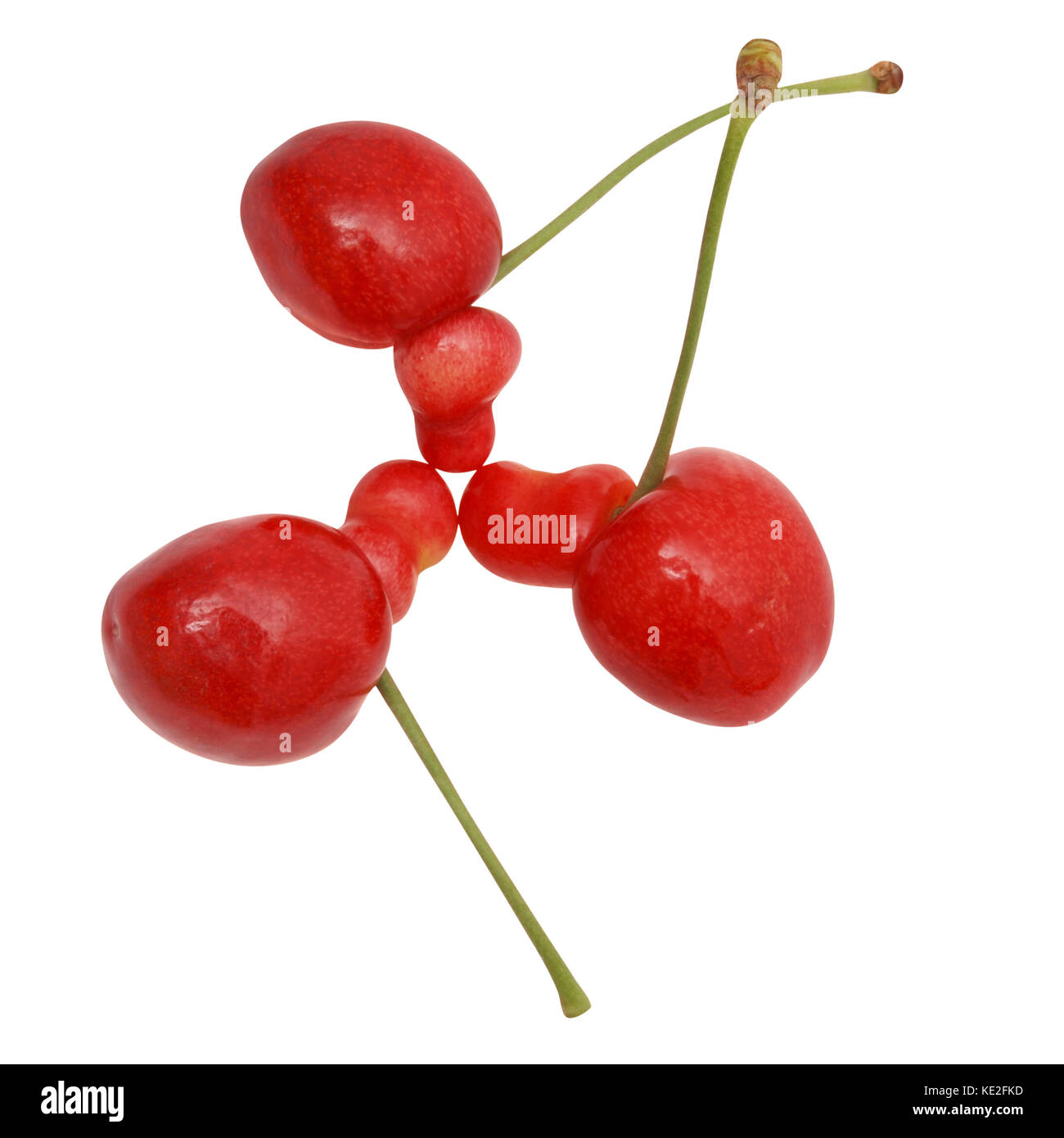 Unusual cherries on white. Clipping path included Stock Photo - Alamy