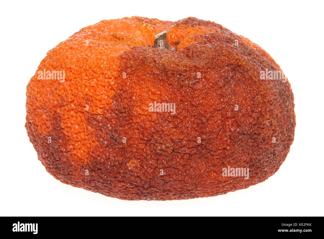 Rotten orange on white background Stock Photo - Alamy