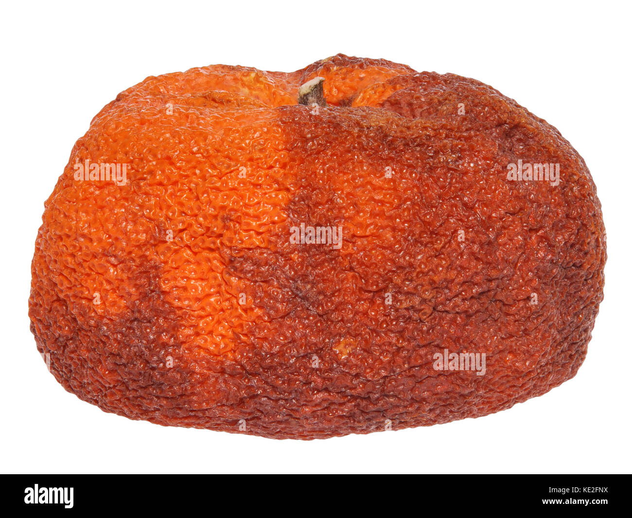 Rotten orange on white background Stock Photo - Alamy