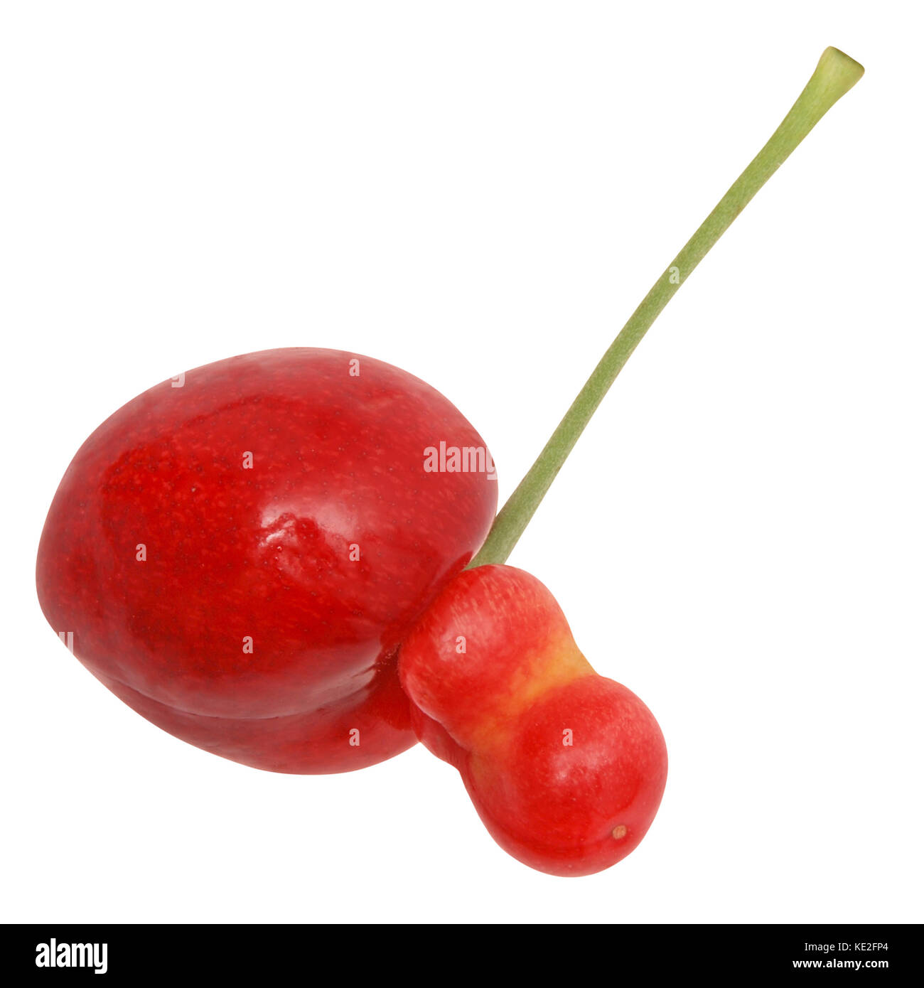Unusual cherries on white. Clipping path included Stock Photo - Alamy