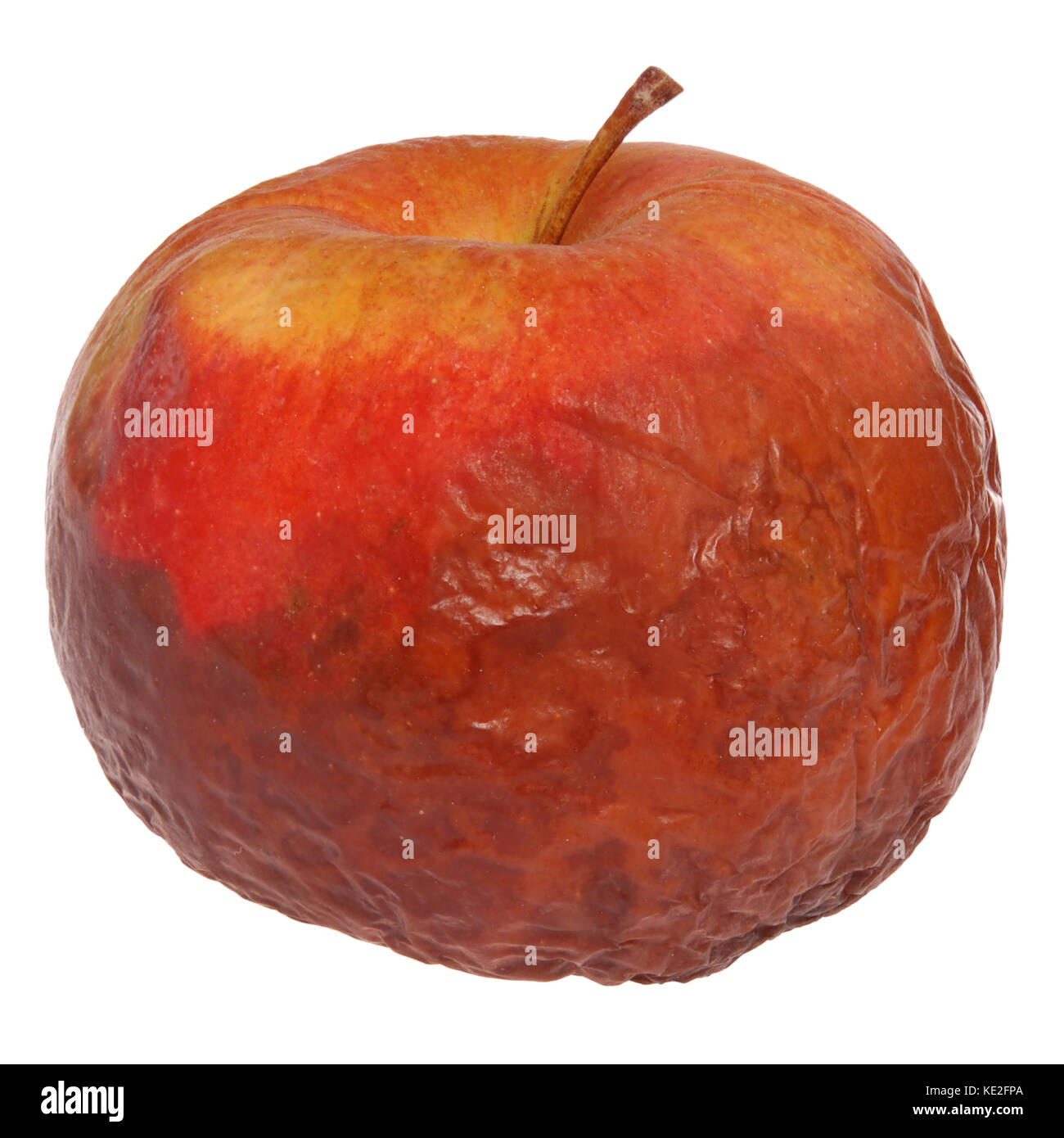 Rotten apple on white background Stock Photo - Alamy